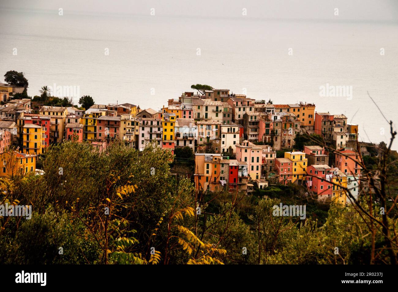 The Azure Path follows the Mediterranean Sea in Cinque Terre National ...