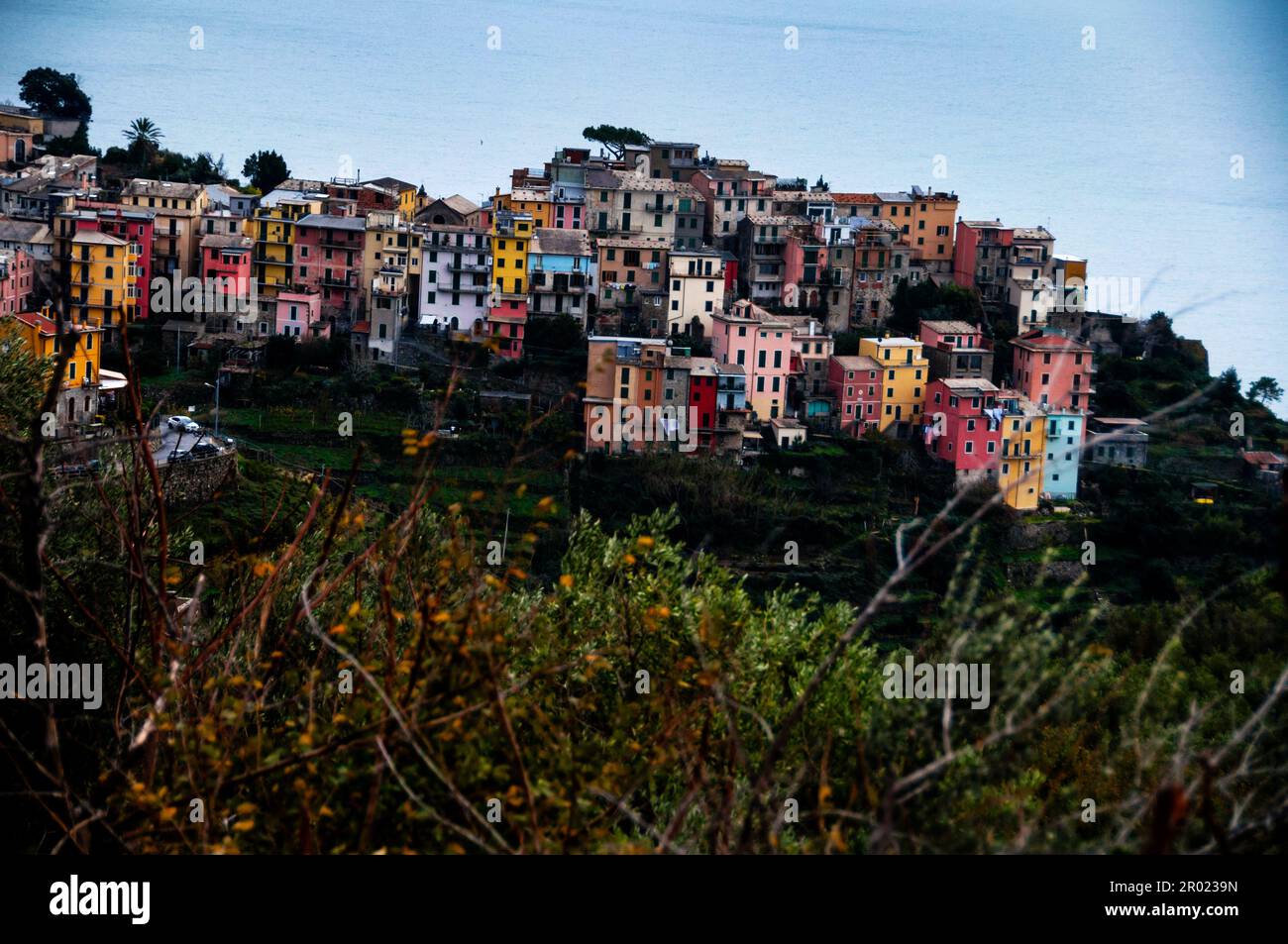 The Azure Path following the Mediterranean Sea in Cinque Terre National ...