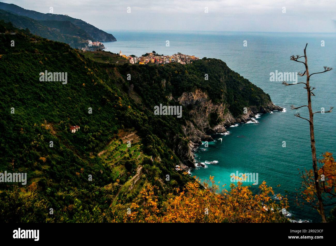 The Azure Path along the Mediterranean Sea in Cinque Terre National ...