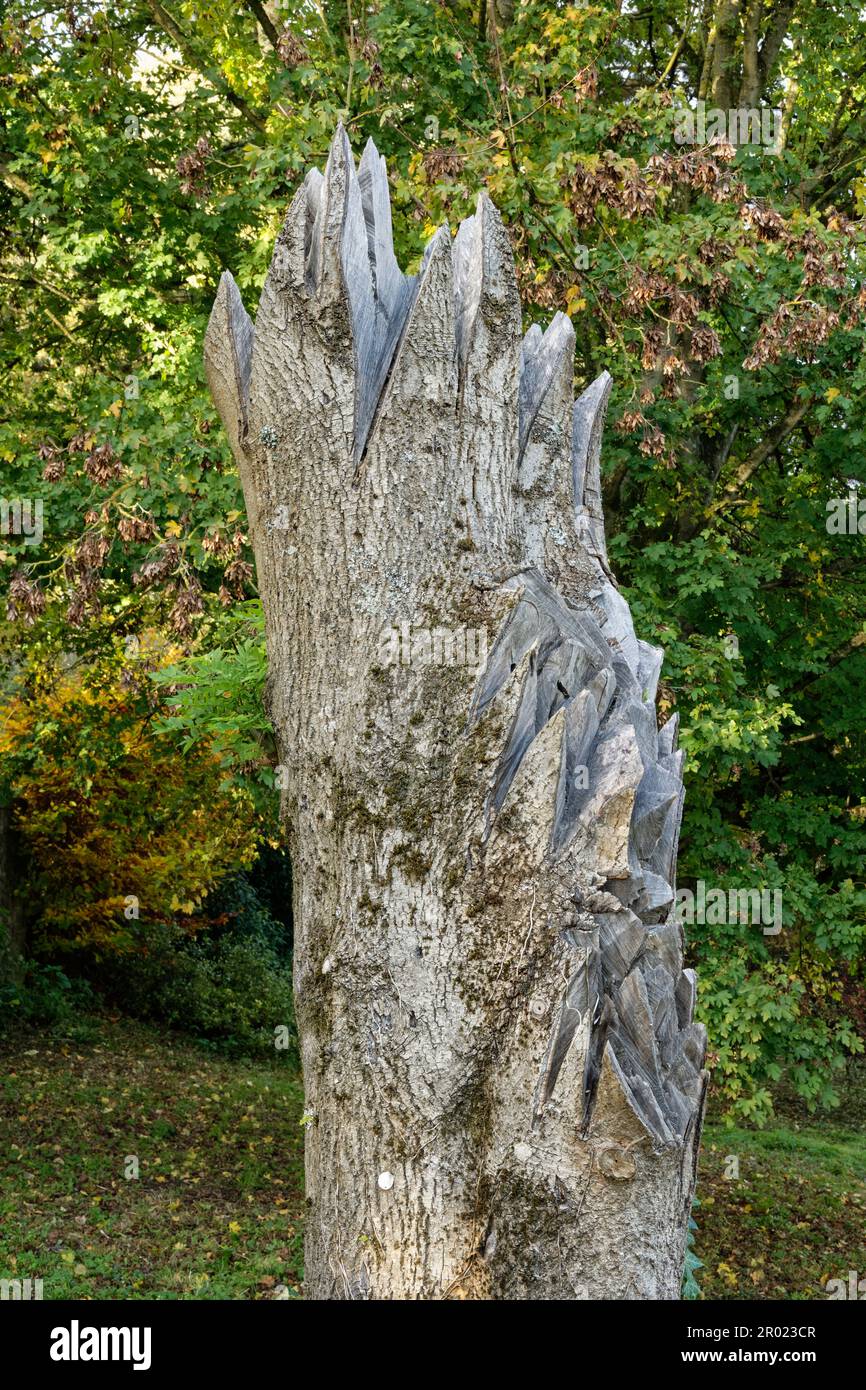 Dead tree with a standing trunk or monolith with deep coronet cuts on ...