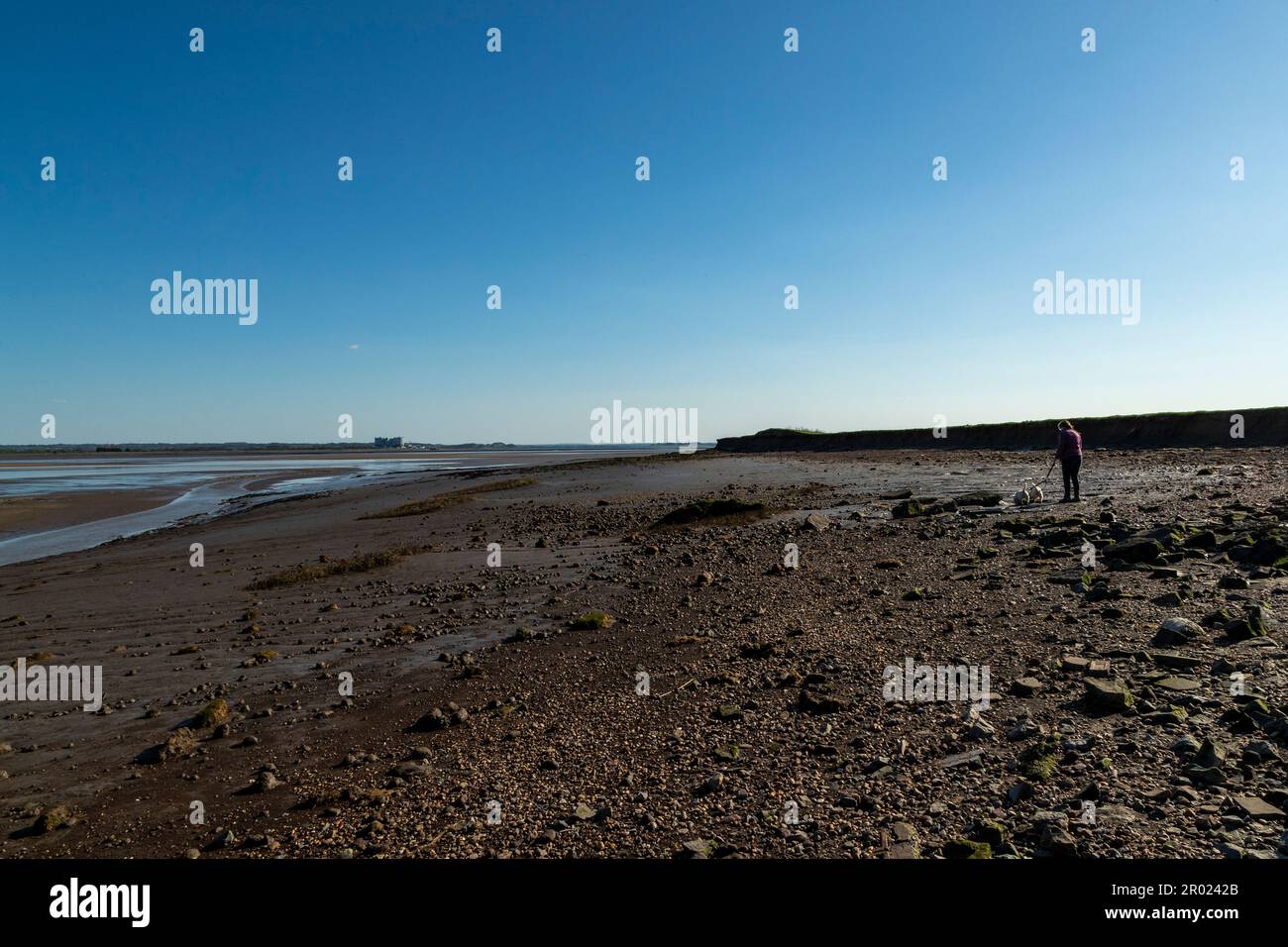 Aw oman and two dogs, Severn estuary, Woolaston Stock Photo - Alamy