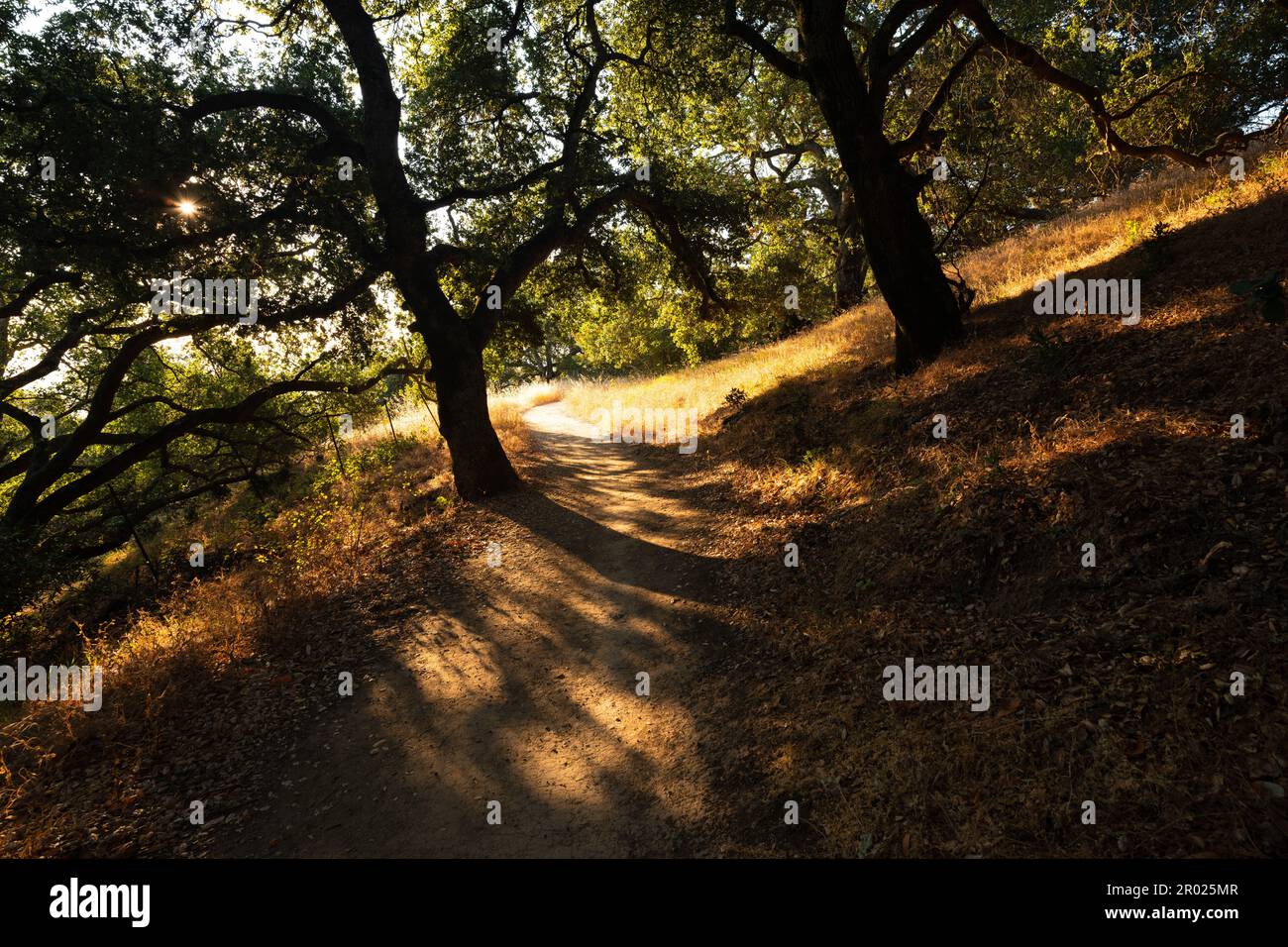 Courdet trail hi-res stock photography and images - Alamy