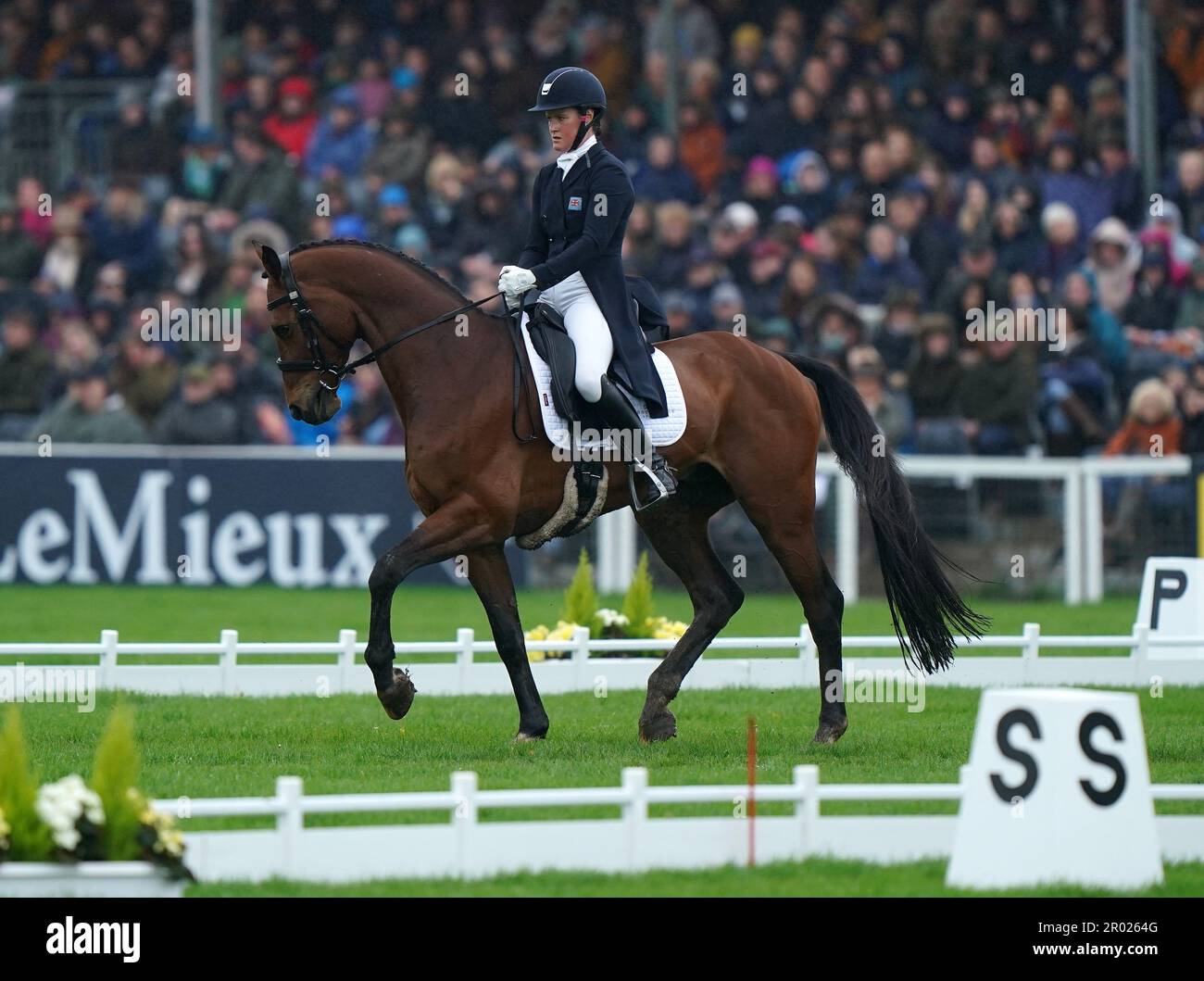 Great Britain's Bubby Upton on Cola on day three of the Badminton Horse ...