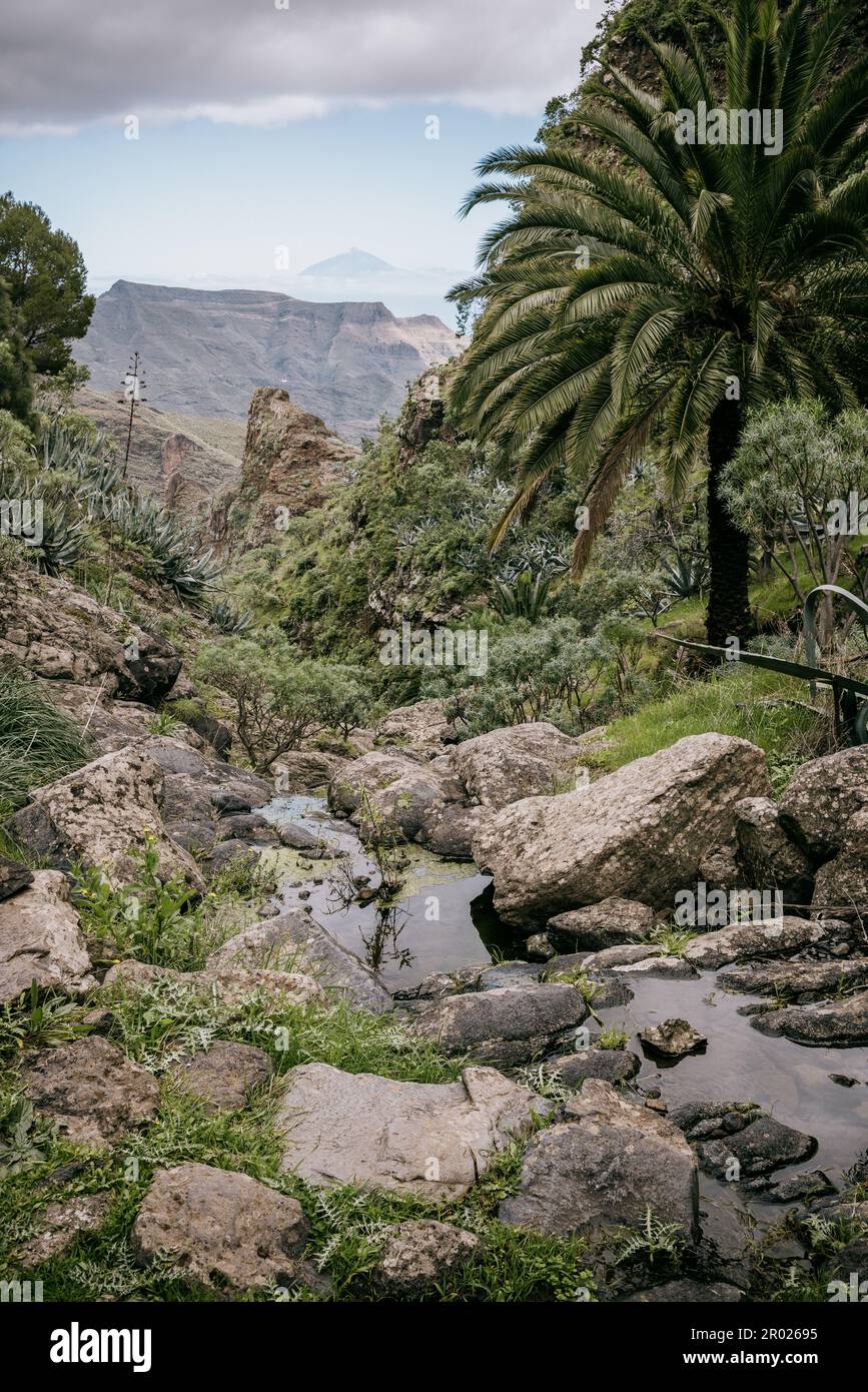 A breathtaking view of a stream winding through a green landscape, with ...