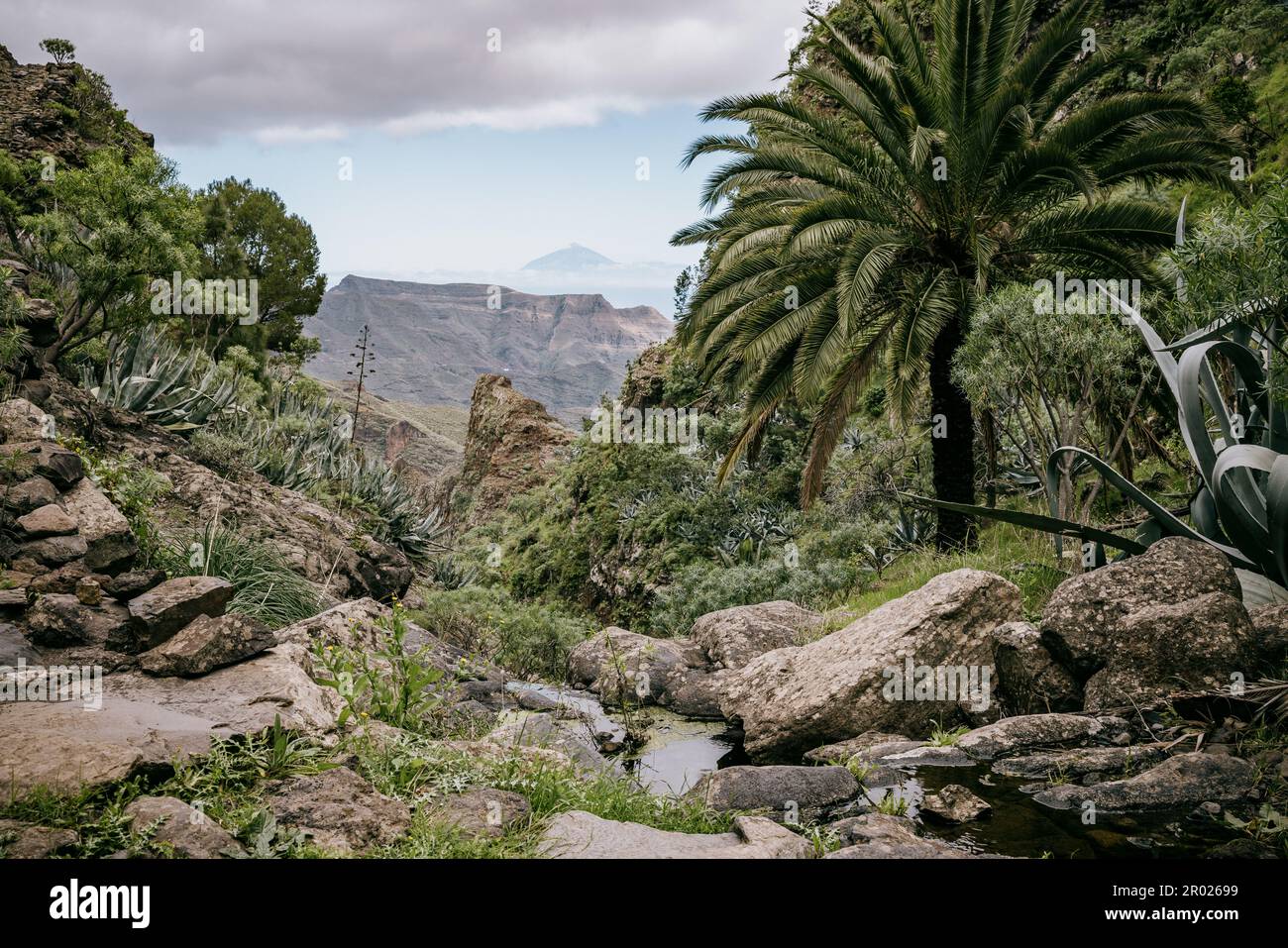 A breathtaking view of a stream winding through a green landscape, with ...