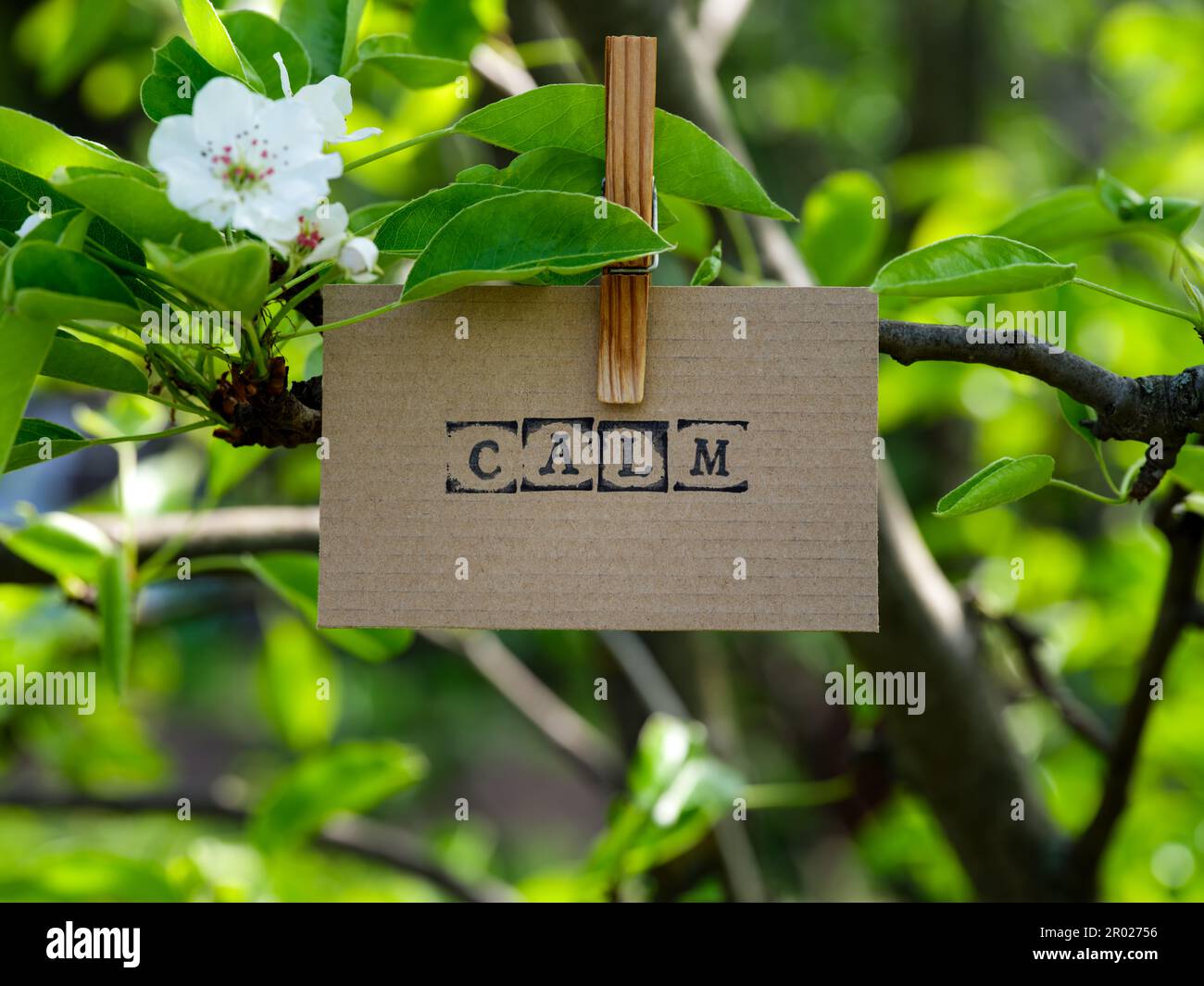A piece of cardboard with the words Calm on it hanging on a pear tree ...