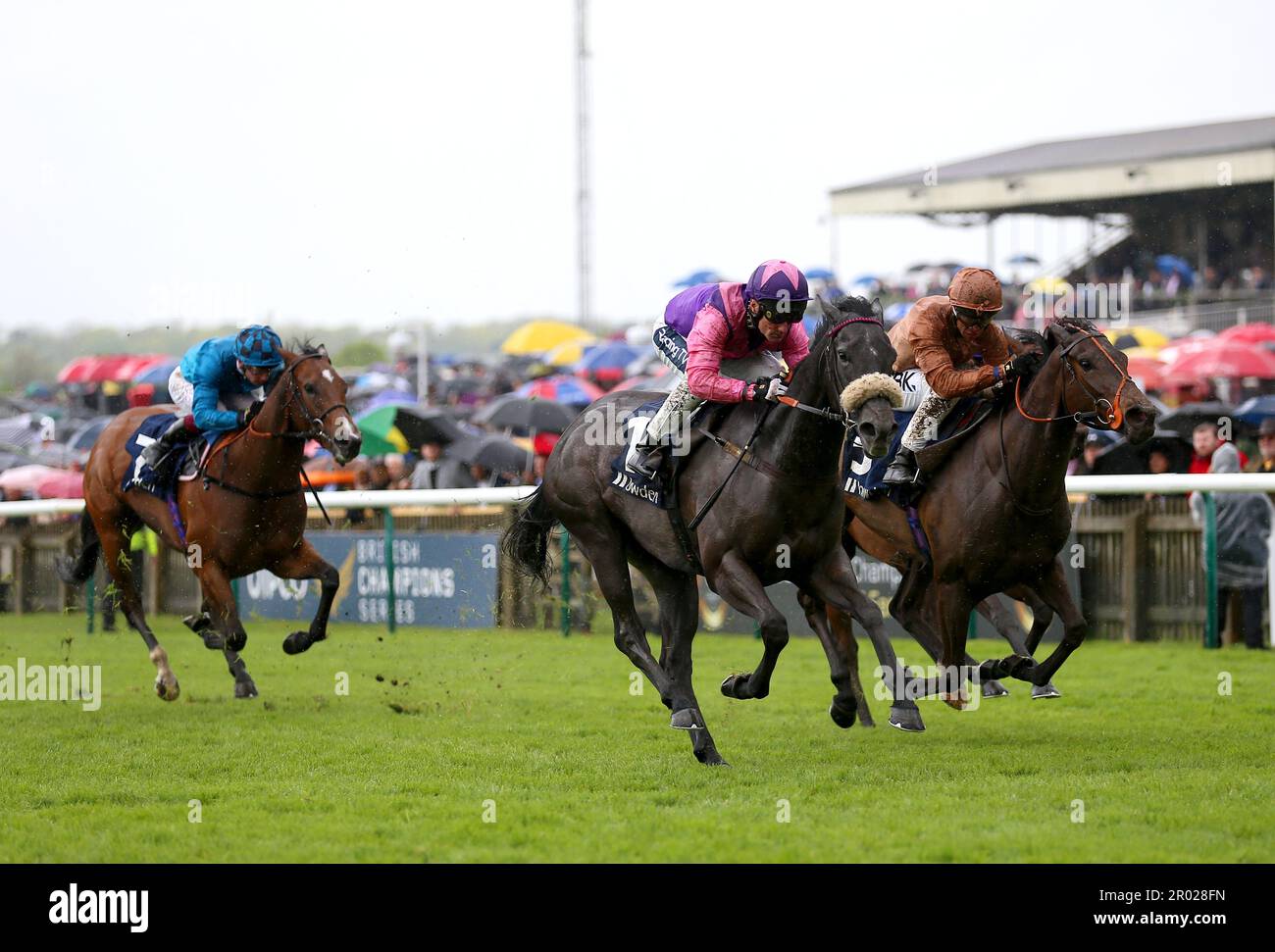 Azure blue racecourse hi-res stock photography and images - Alamy