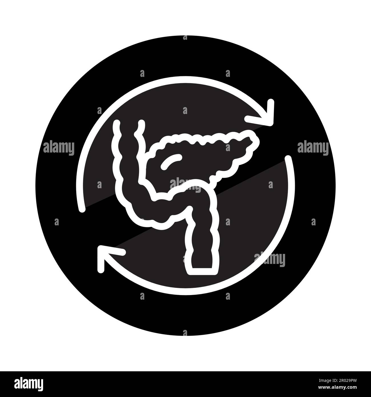 Pancreas Black and White Stock Photos & Images - Alamy