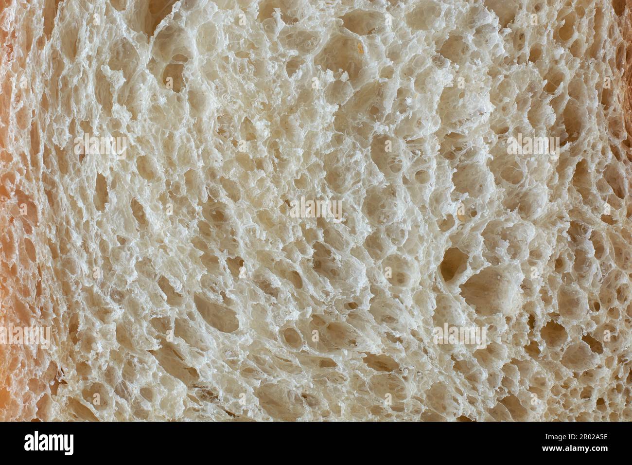 White Bread Texture
