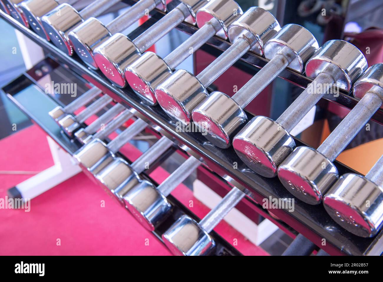 Muscle development equipment hi-res stock photography and images - Alamy