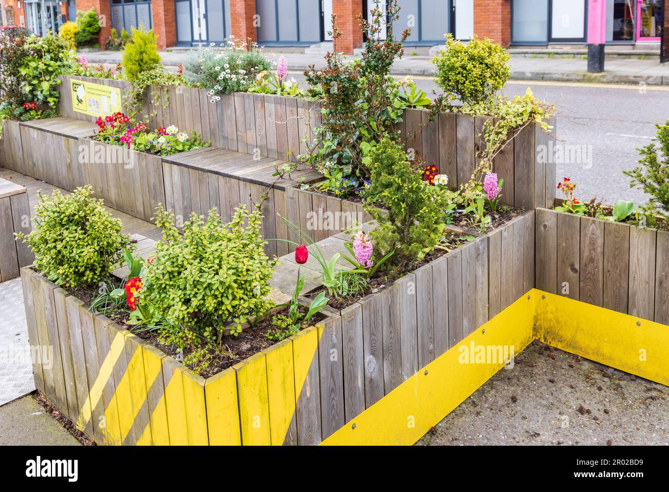 Greening Parklets boxes with colorful platns and flowers in Cork in ...