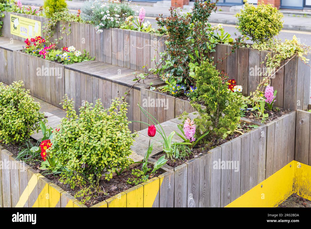 Greening Parklets boxes with colorful platns and flowers in Cork in ...
