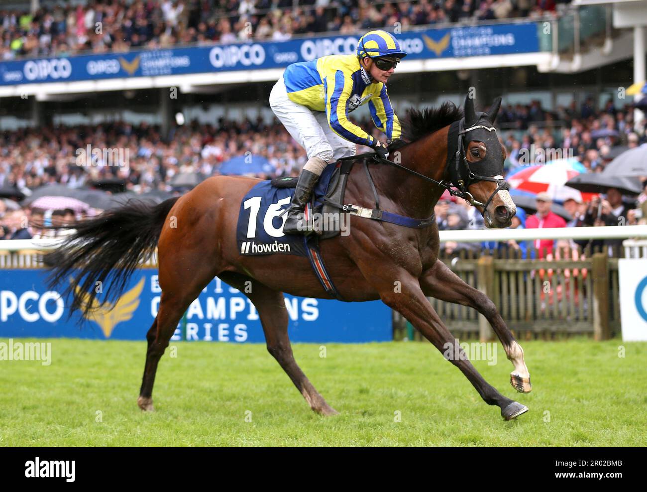 Probe ridden by jockey Kieran O'Neill on their way to winning the ...