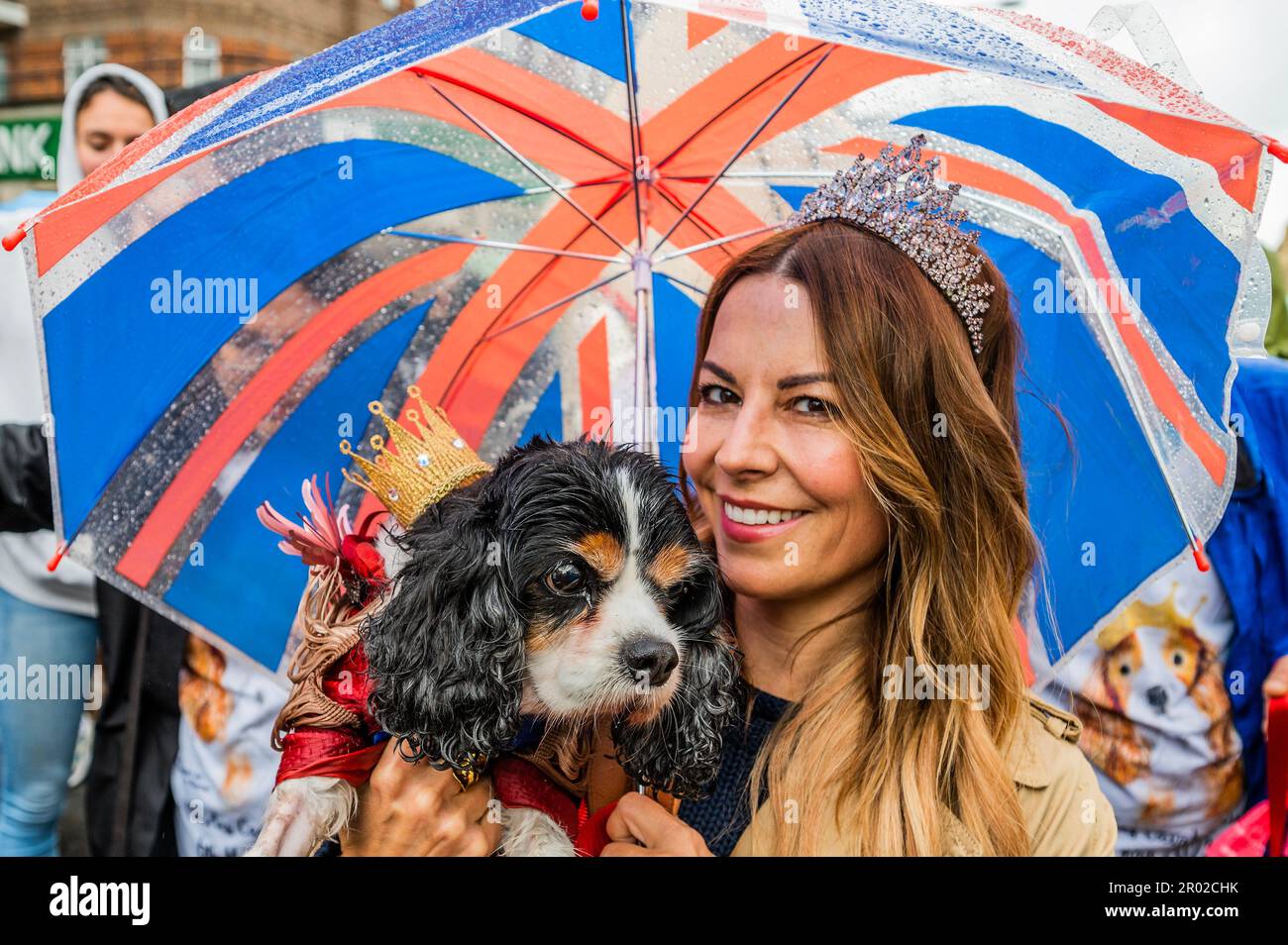 London, UK. 06th May, 2023. Duke and Lady, King Charles spaniels on ...