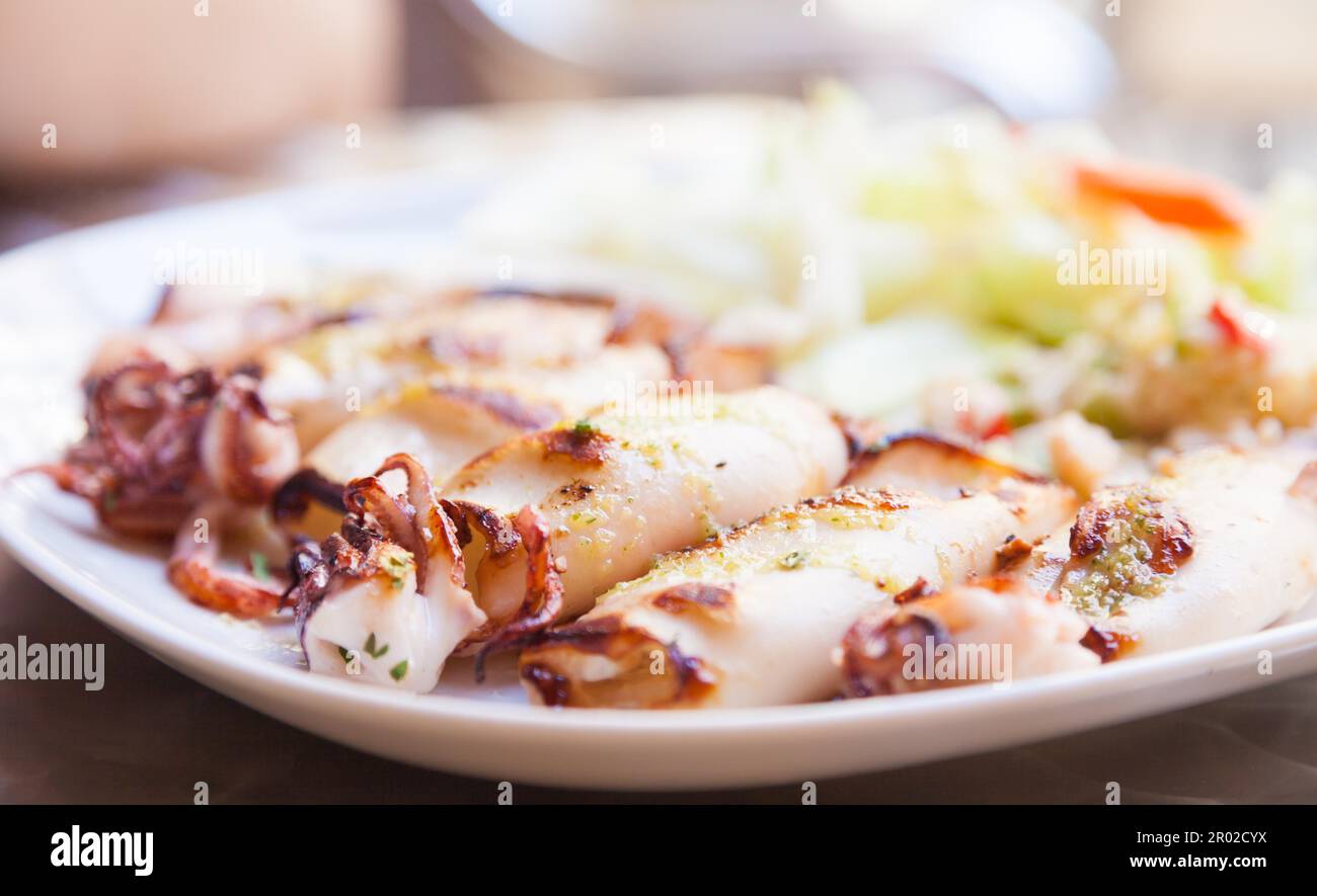 Fresh calamari served in an old Italian restaurant (Tuscany). Daylight ...