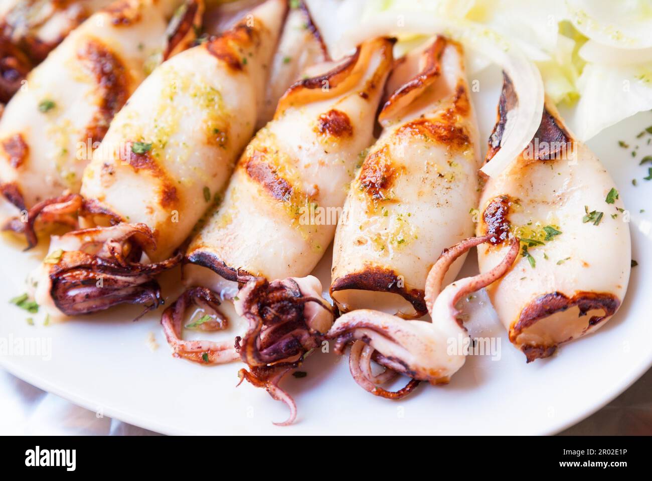 Fresh calamari served in an old Italian restaurant (Tuscany). Daylight ...