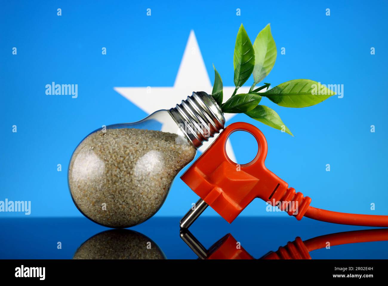 Plug, plant growing inside the light bulb and Somalia Flag. Green eco ...