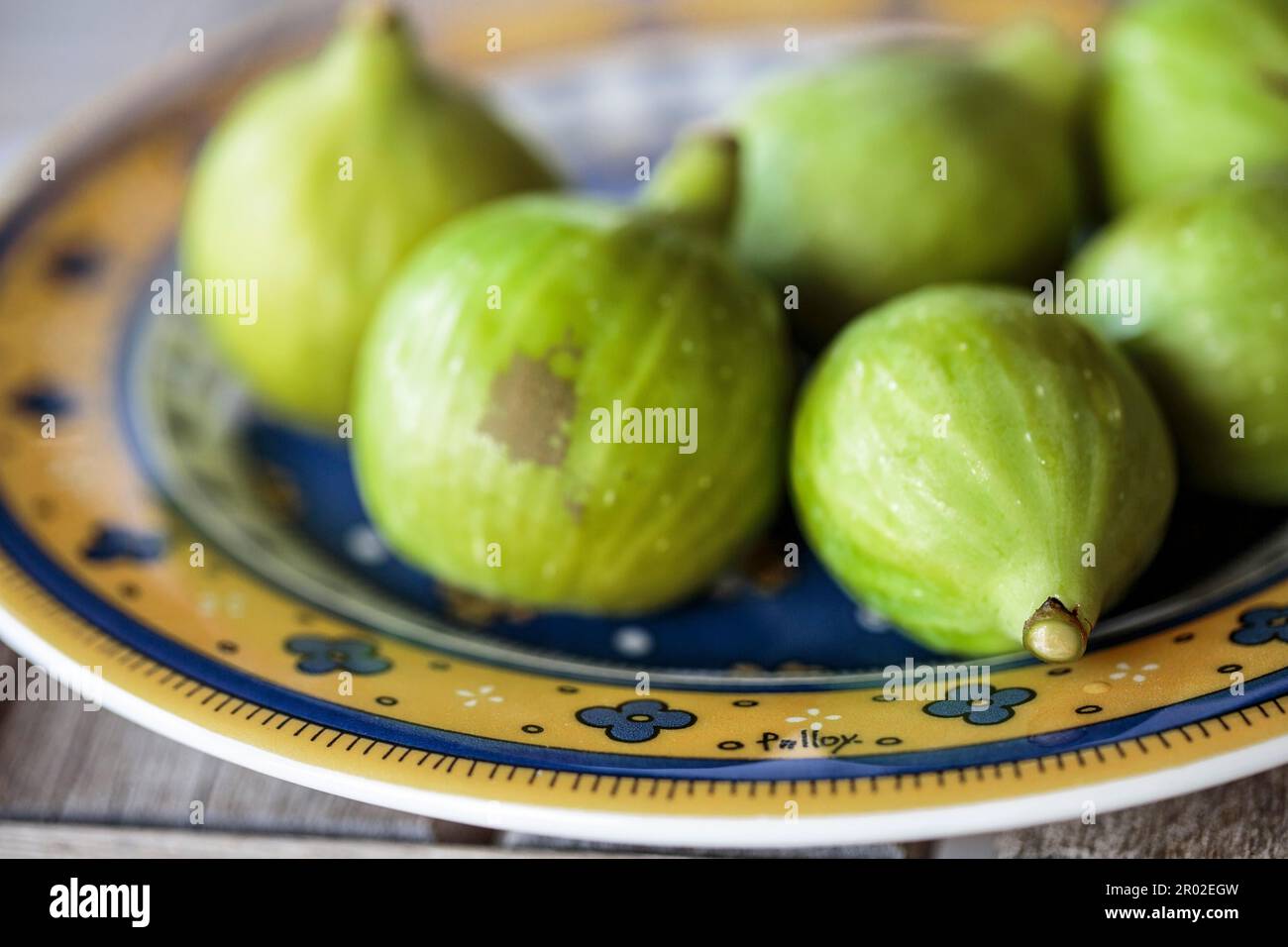 Collected in the farm hi-res stock photography and images - Alamy