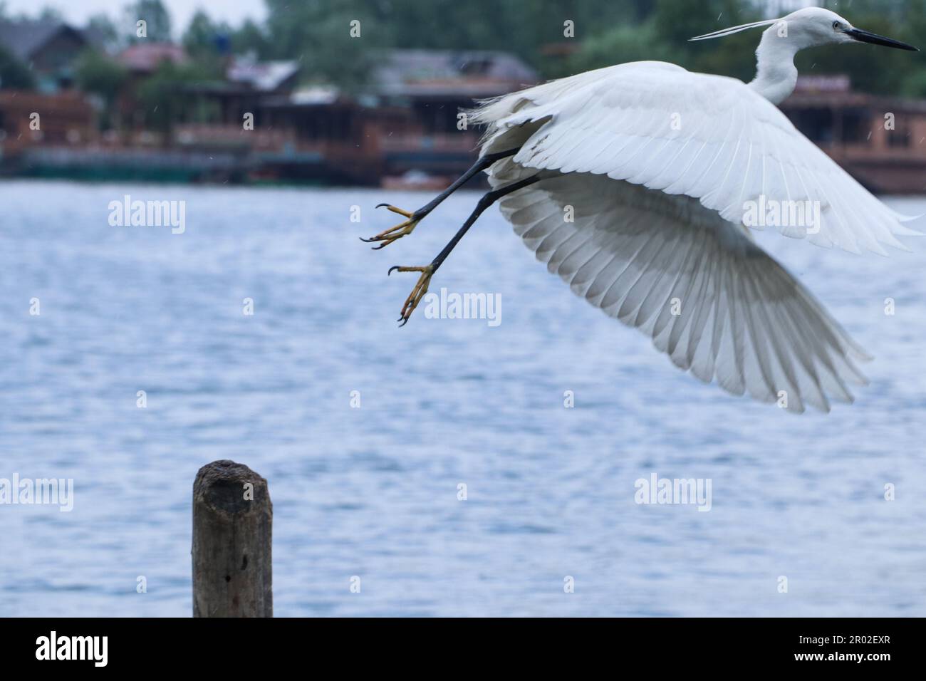 Raiiny hi-res stock photography and images - Alamy