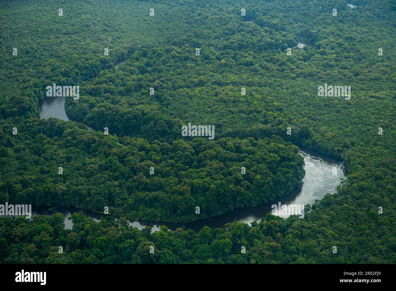 Aerial of the Potaro river, Guyana, South America Stock Photo - Alamy
