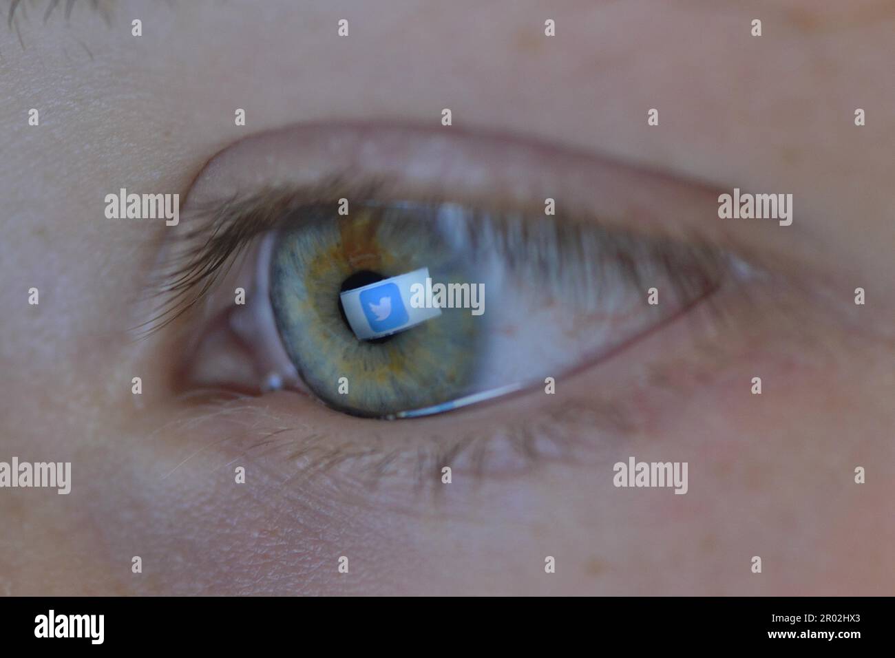 Eye with Twitter symbol Stock Photo - Alamy