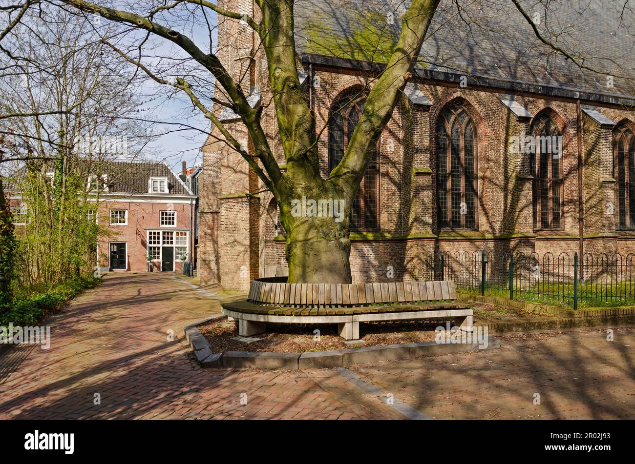 Rotterdam, The Netherlands, April 5, 2023: wooden bench on the square ...