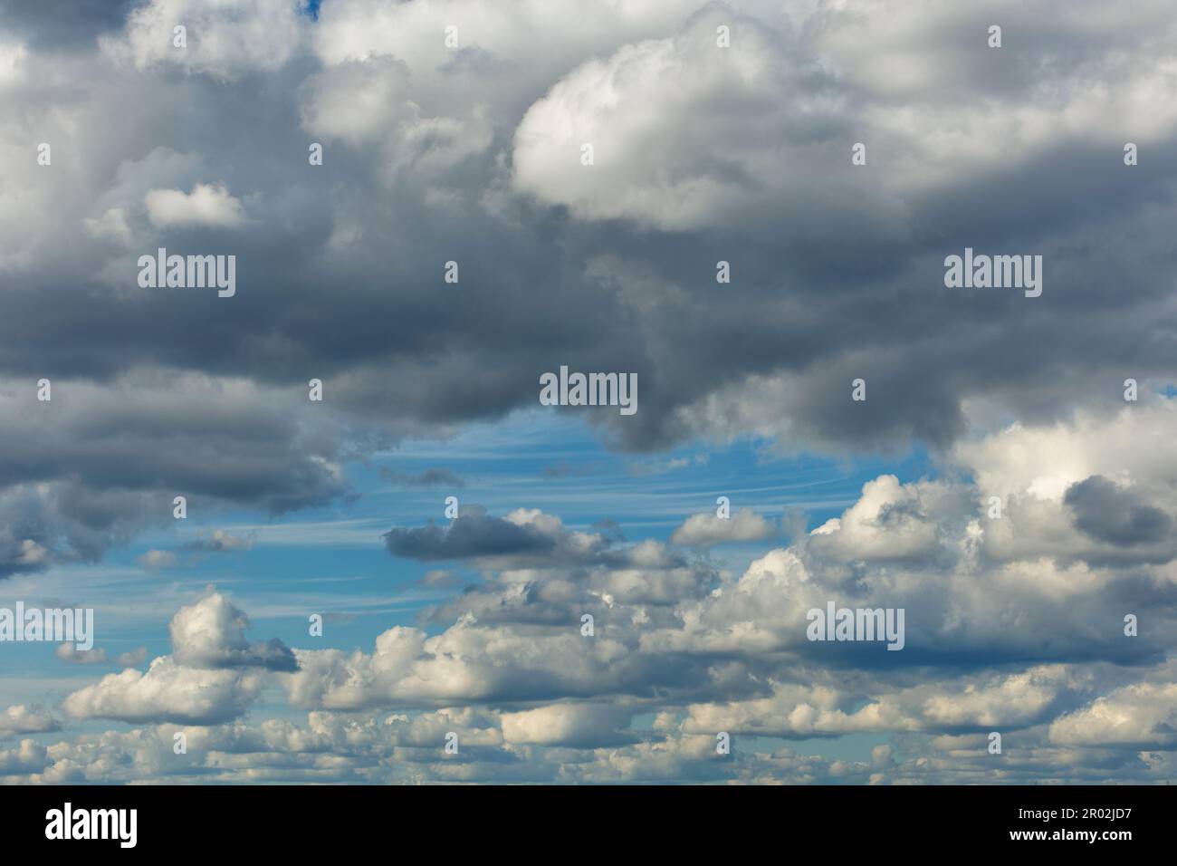 Gray clouds gather in dense, even rows and float above, forming windows ...