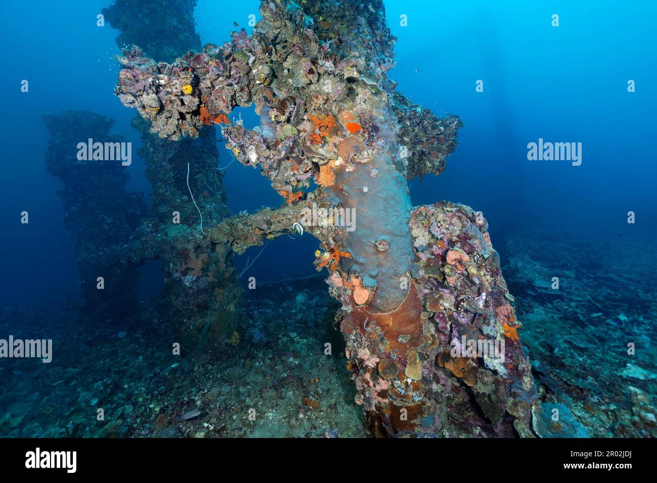Mast, cargo boom, Kyokuzan Maru, underwater, wreck, thick vegetation ...