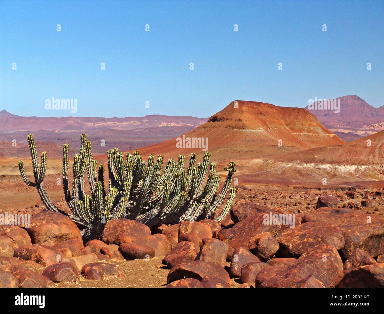 Bushman candle hi-res stock photography and images - Alamy