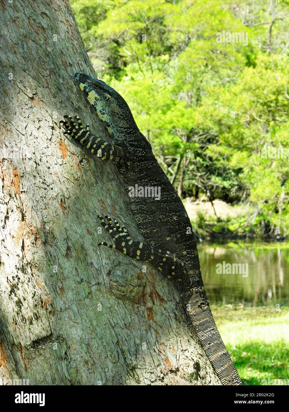Australian Top screen Stock Photo - Alamy