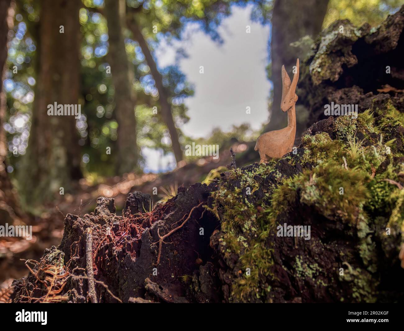 Handcrafted wooden animal figurine photographed in a moss covered trunk ...