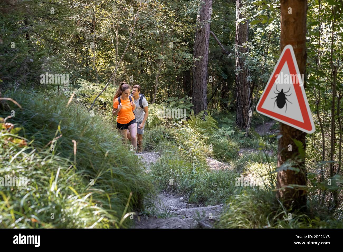 Man and woman hiking in Infected ticks forest with warning sign. Risk ...