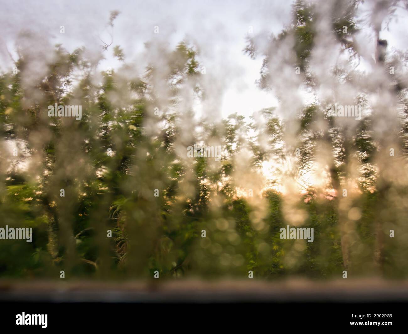 Macro photography of dew drops on a window captured in a farm house at ...