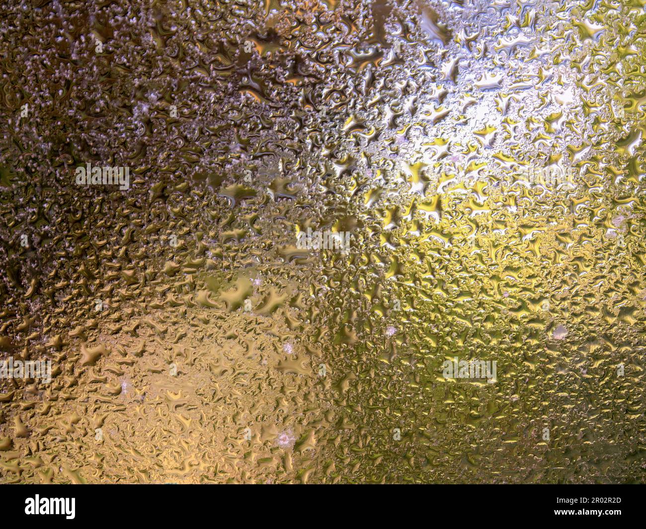Macro photography of dew drops on a window captured in a farm house at ...