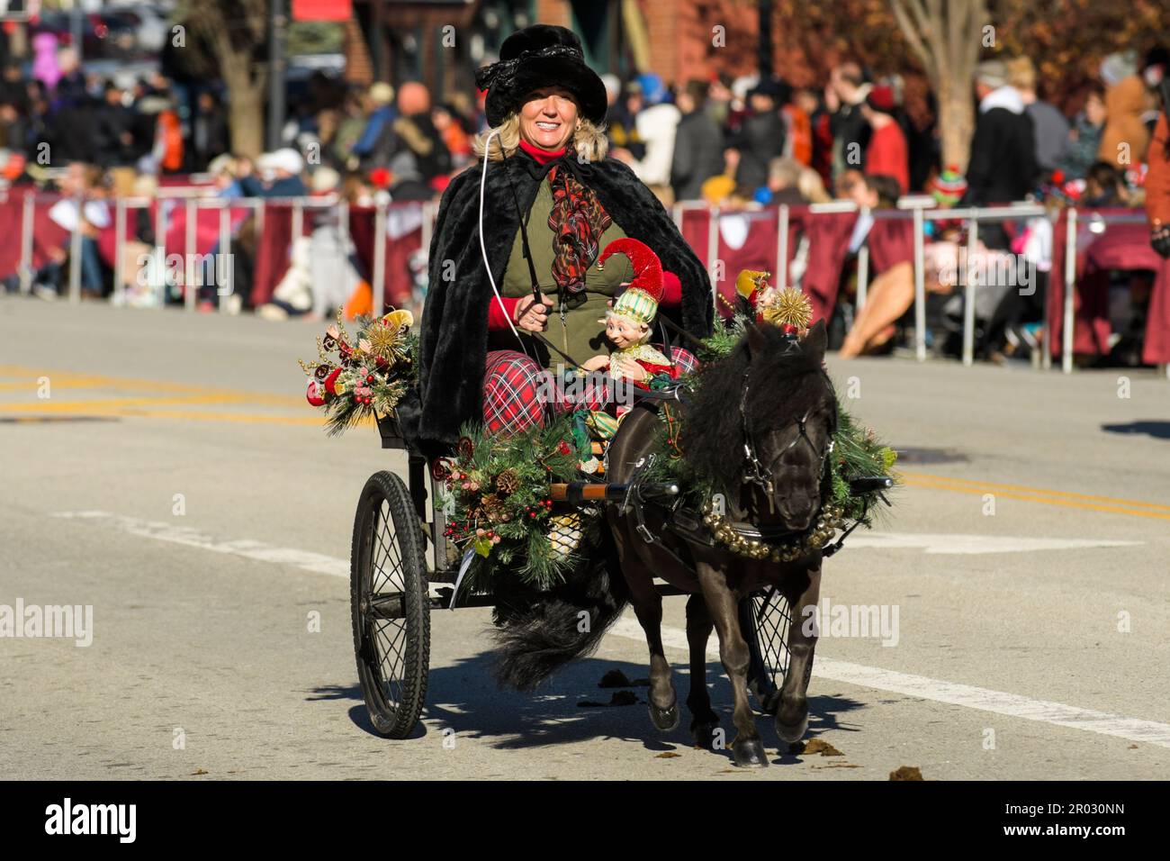 A woman driving horse carriage hi-res stock photography and images - Alamy