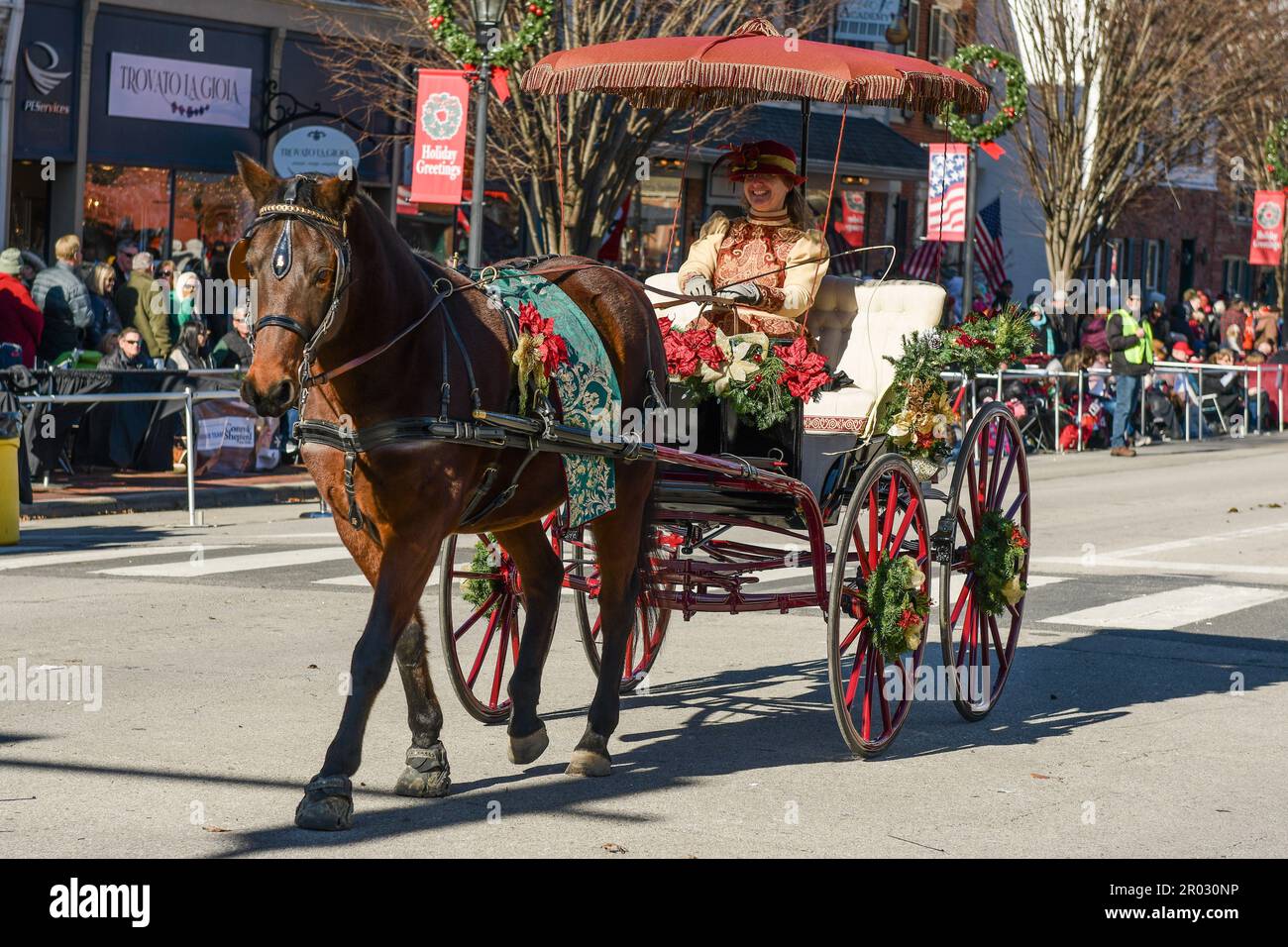 A young woman riding driving a horse and carriage in a festive parade ...