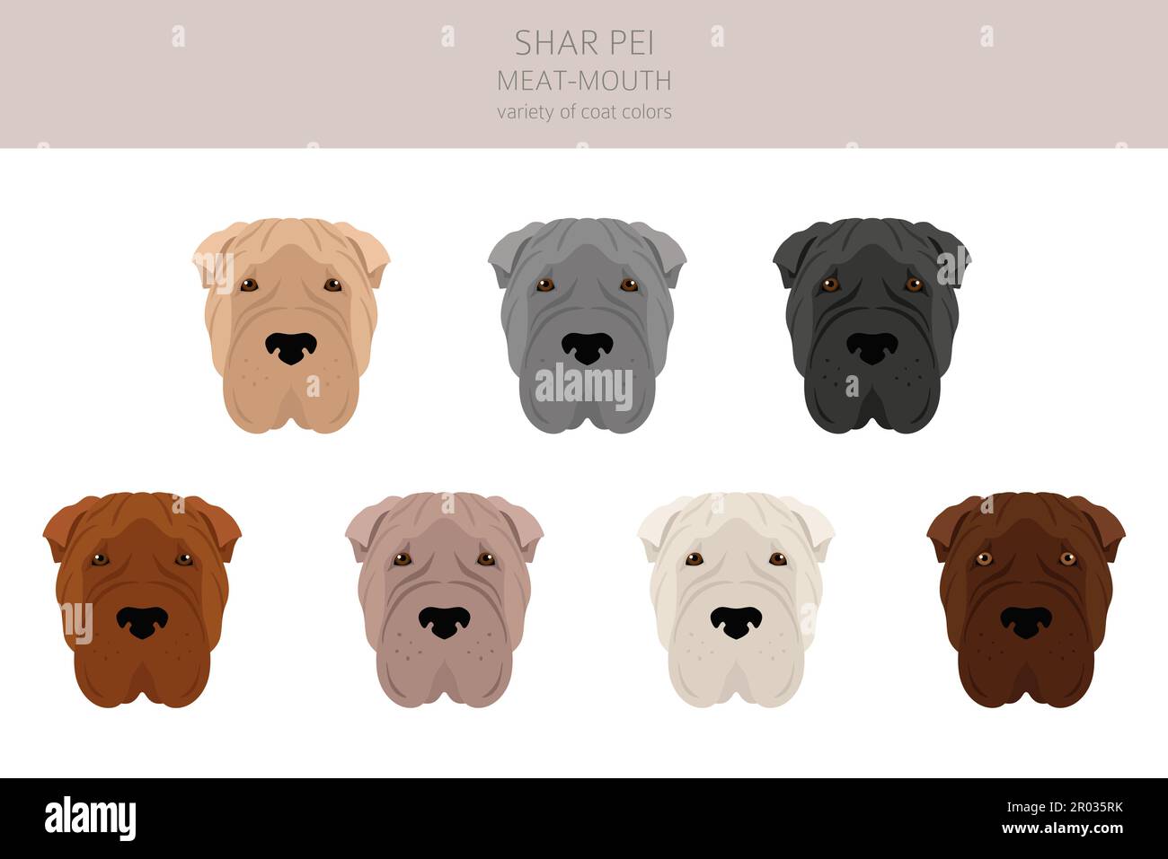 Shar Pei (modern) meat mouth clipart. Different poses, coat colors set ...