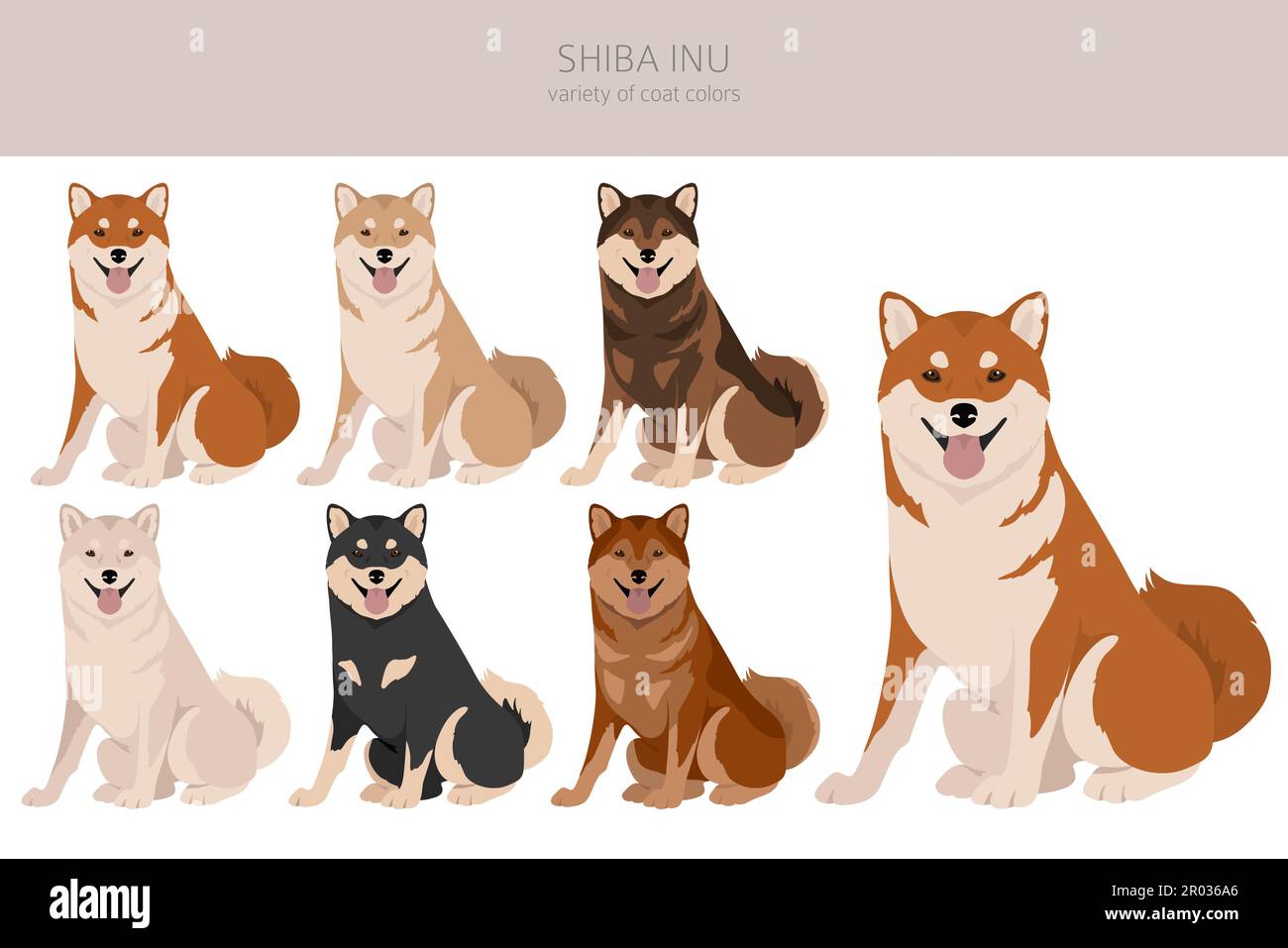 Shiba Inu, Japanese small size dog coat colors, different poses clipart ...