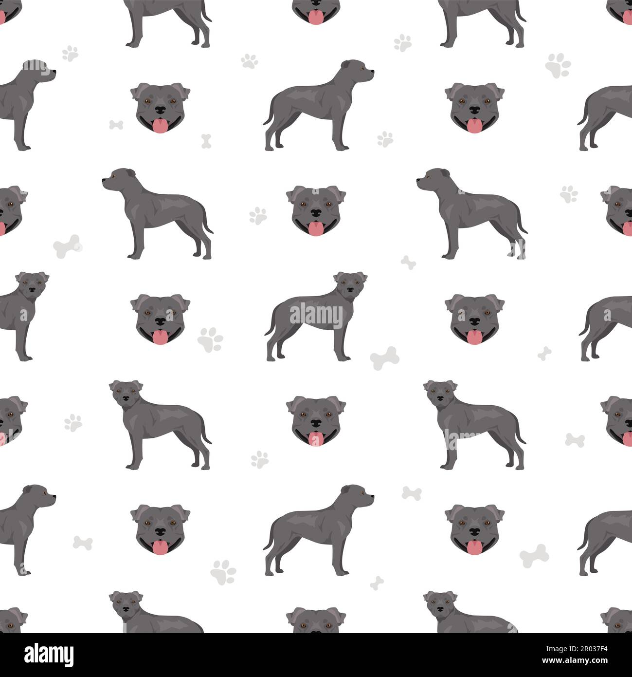 Staffordshire bull terrier seamless pattern. Vector illustration Stock Vector Image & Art - Alamy