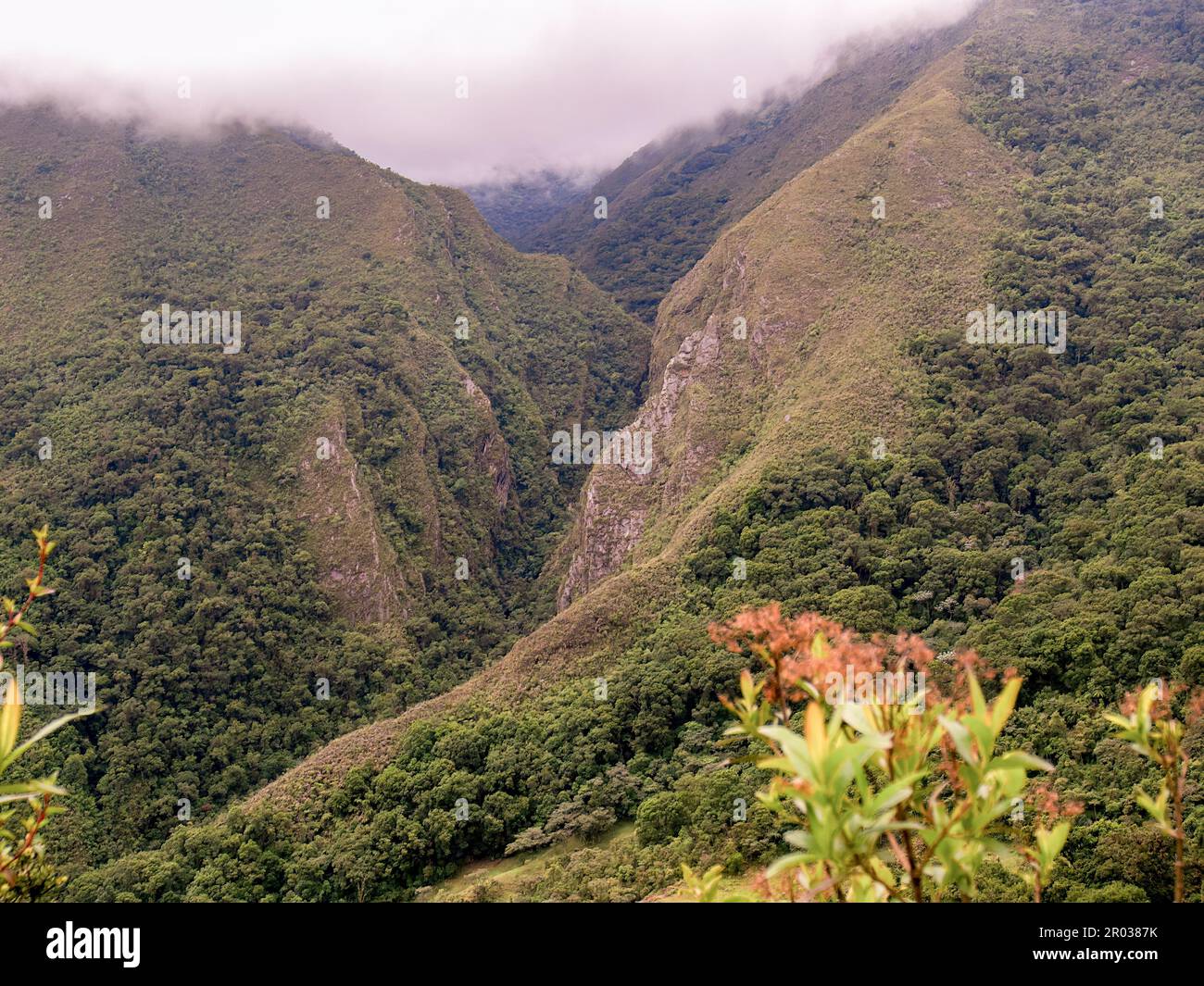 The majestic mountains of the Paramo Chontales covered with dense ...