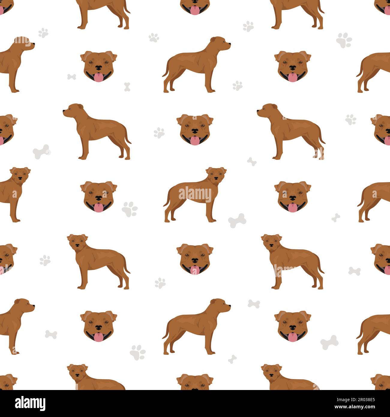 Staffordshire bull terrier seamless pattern. Vector illustration Stock ...