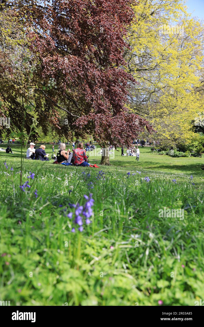 Spring sunshine for the early May Bank Holiday weekend, in St James's ...
