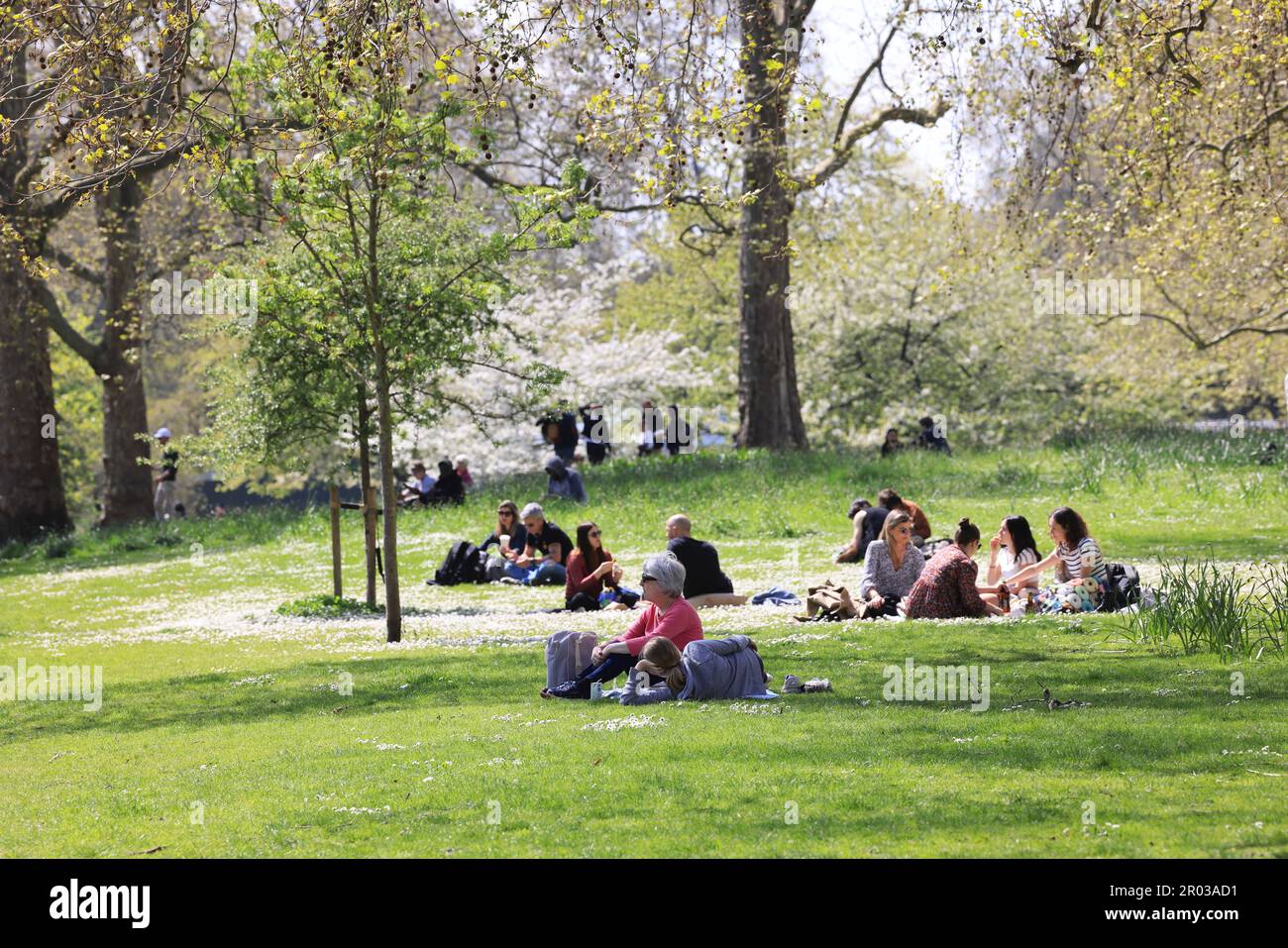 Spring sunshine for the early May Bank Holiday weekend, in St James's ...