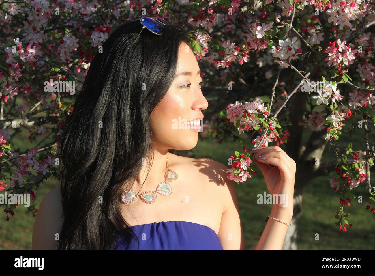 Photo of a pretty Chinese girl in a blue dress Stock Photo - Alamy
