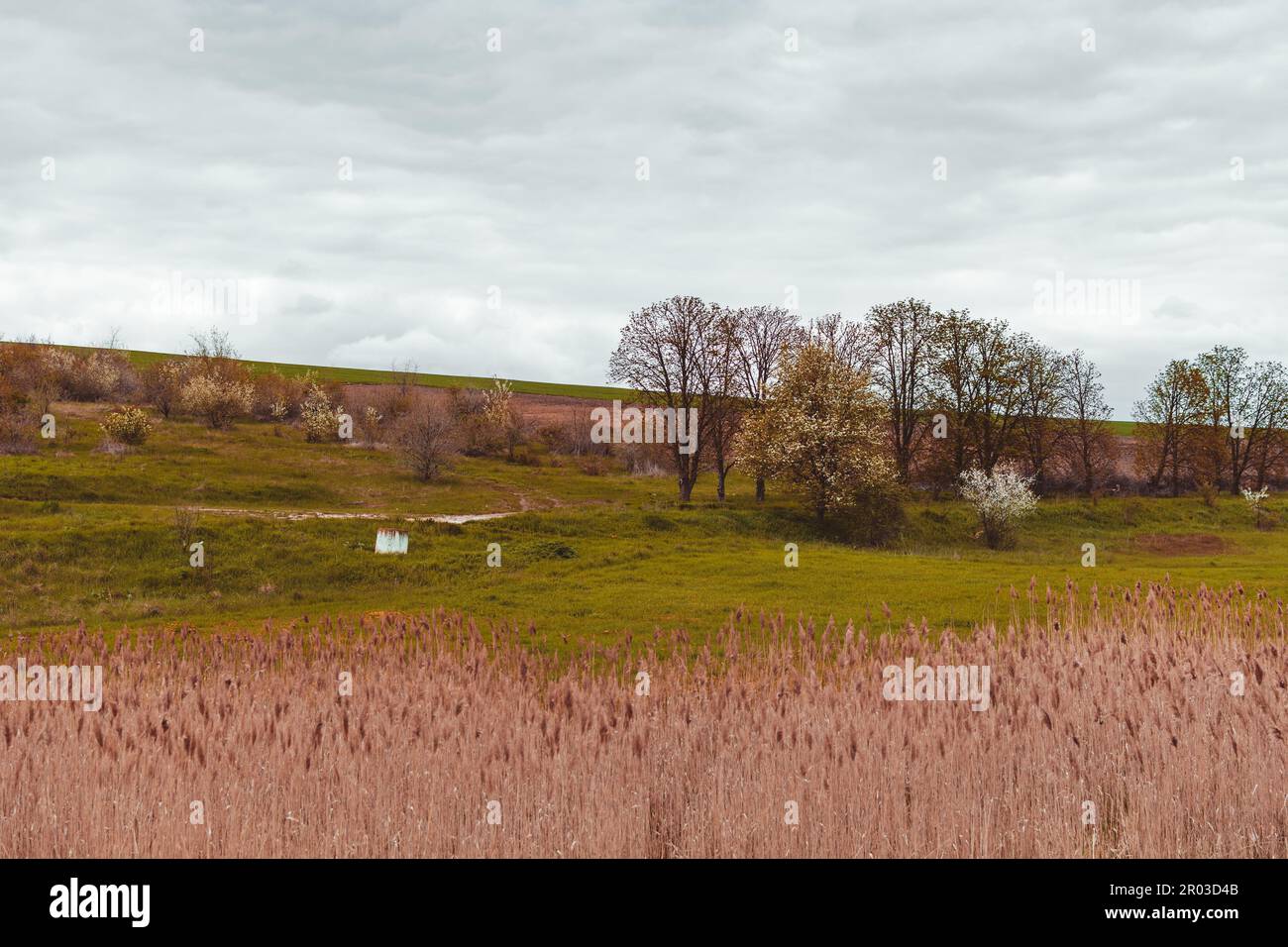 Artistic photo processing hi-res stock photography and images - Alamy