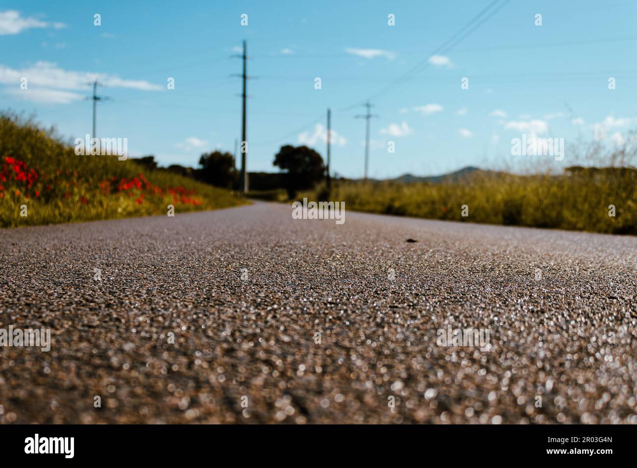 Ground level of empty asphalt roadway going between green grassy meadow ...