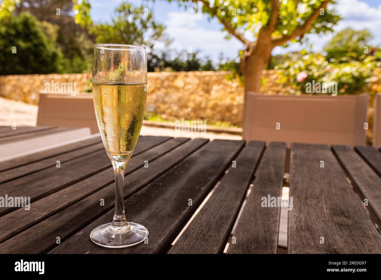 A glass of cava on a brown table, with a blurred background Stock Photo ...