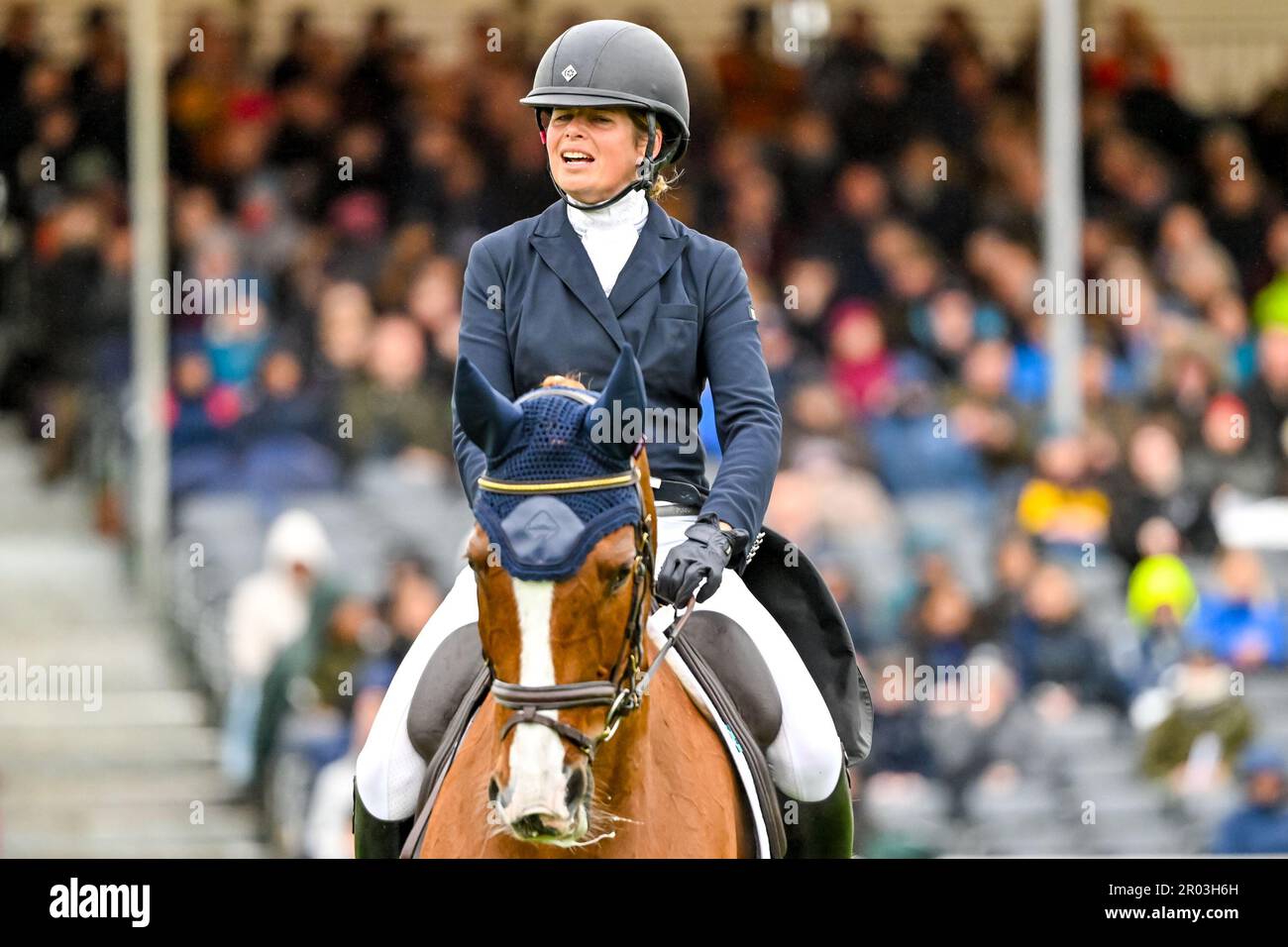 Helen Martin riding Andreas on Day two of the Badminton Horse Trials in ...