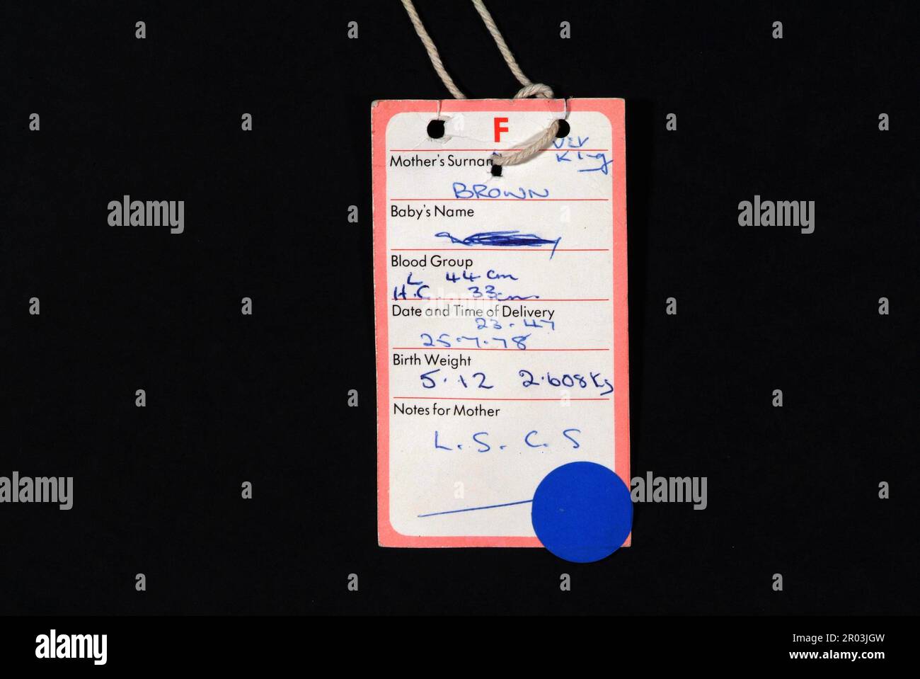 Louise Brown, the first baby born by In Vitro Fertilisation and her ...