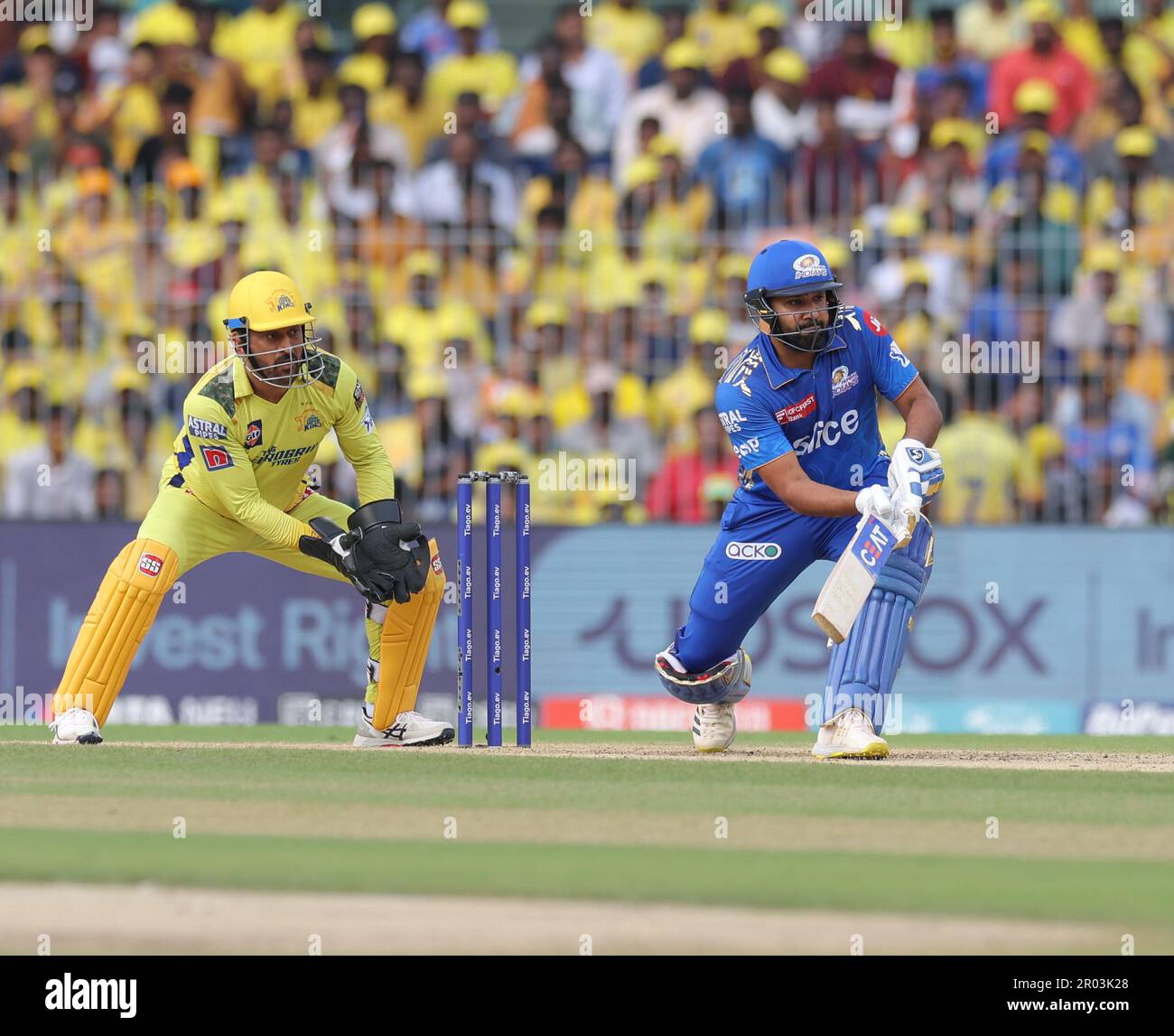 Rohit Sharma Cricketer Mi